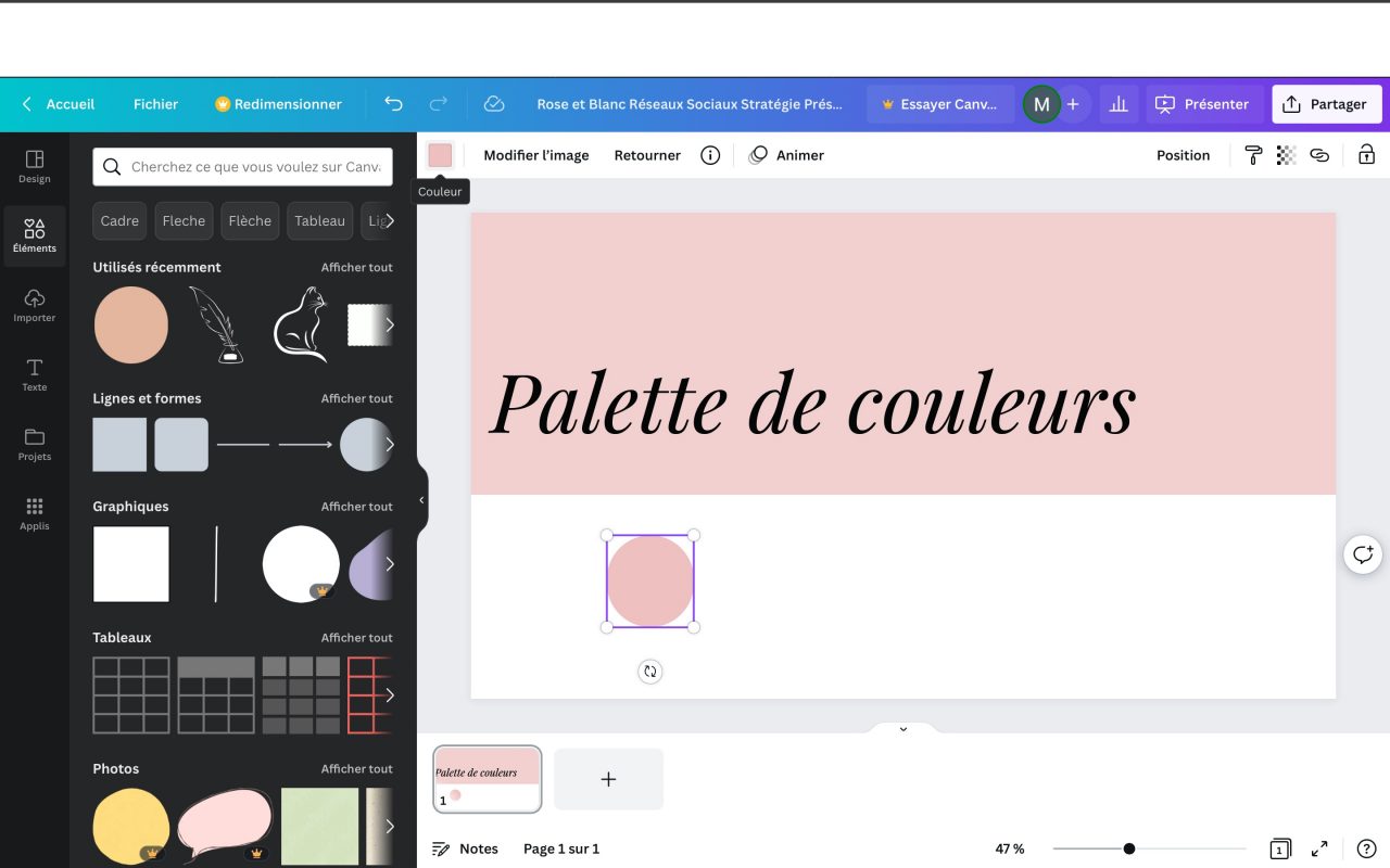Charte graphique avec Canva : Facile, rapide et gratuit
